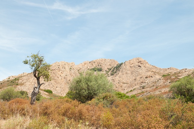Corse : les plages de Balagne
