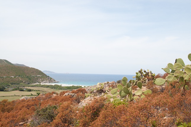 Corse : les plages de Balagne